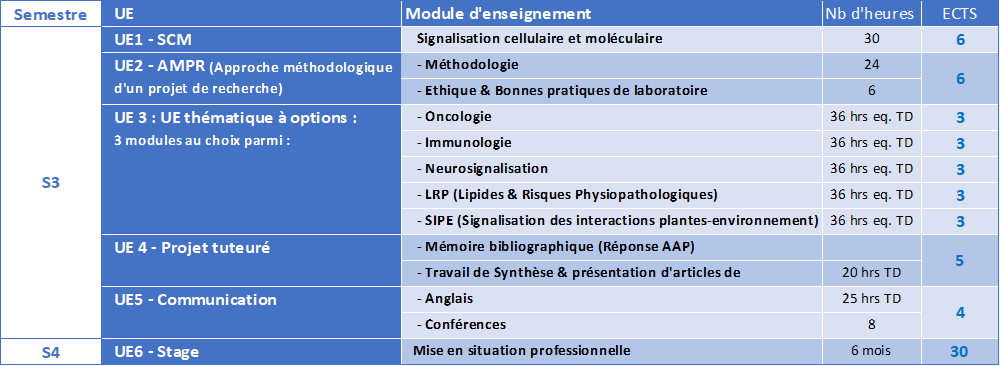 Master 2 SCM | M2R SCM
