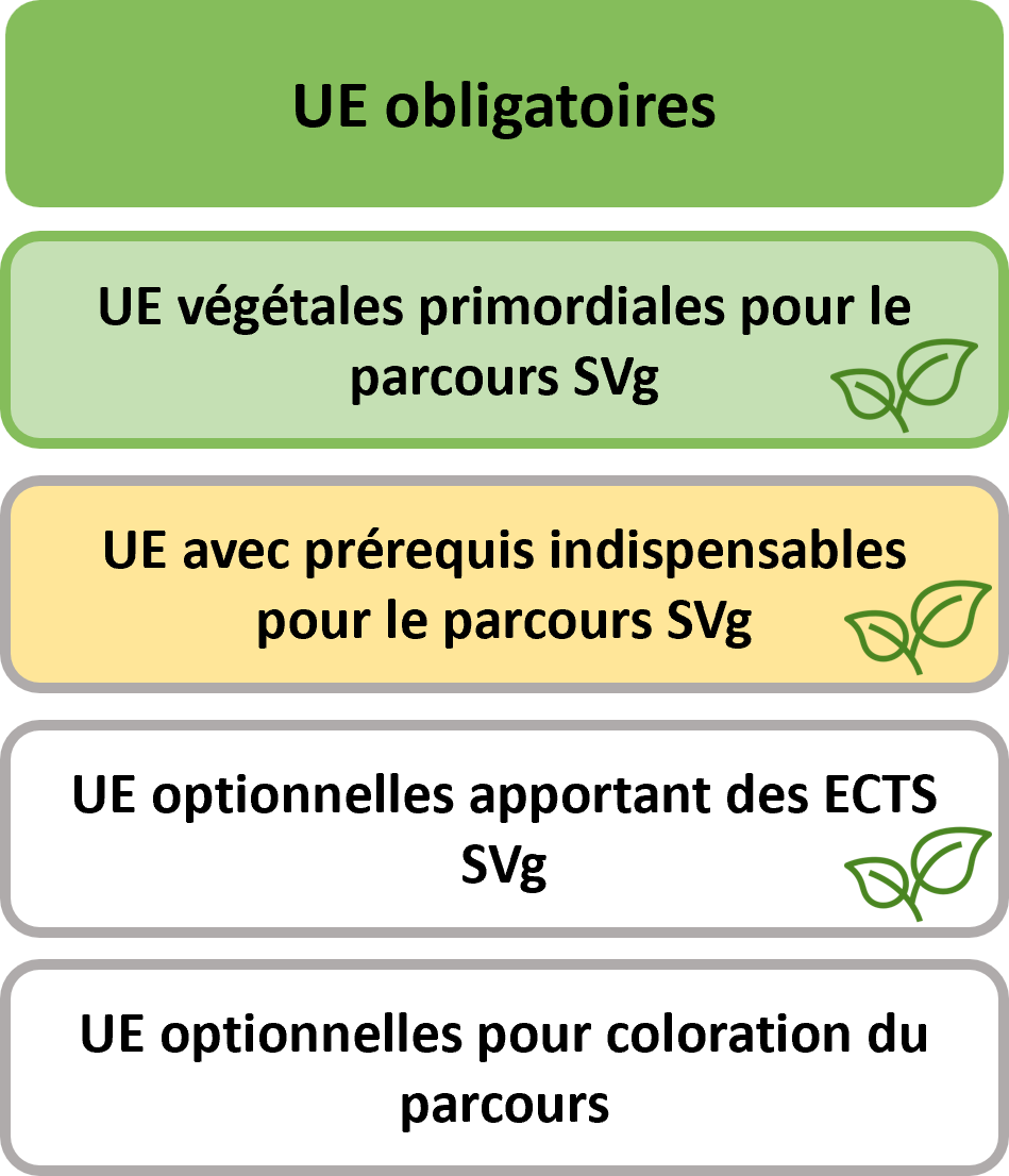 Exemples de Parcours | licence sciences du végétal